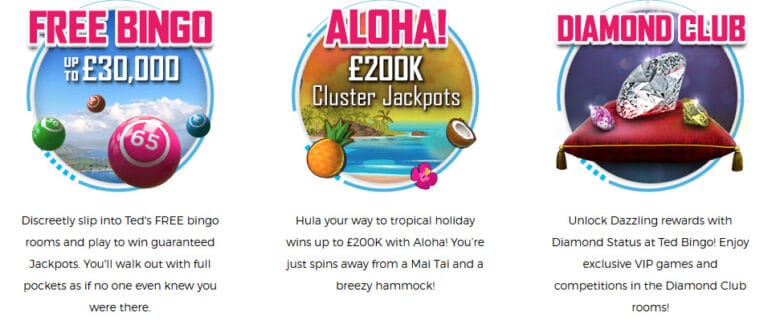 Ted Bingo Review | Plus Welcome Bonus Offer | Jackpot Compare